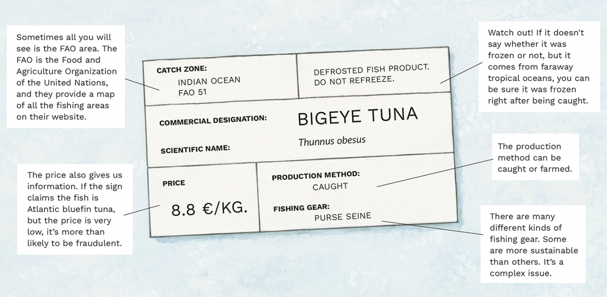 USEFUL TIPS FOR BUYING TUNA A short guide to buying fresh or frozen ...