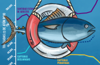 INFOGRAPHICS - Planet tuna