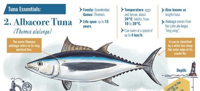 INFOGRAPHICS - Planet tuna