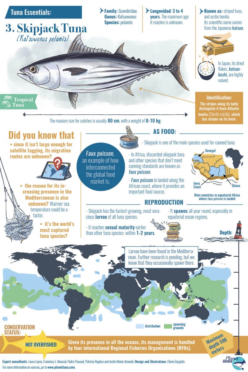 SKIPJACK TUNA ESSENTIAL DATA FACT SHEET - Planet tuna