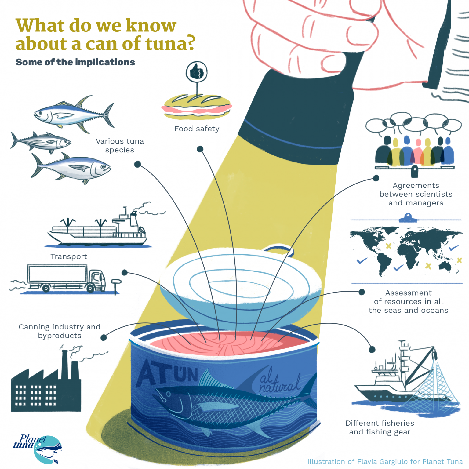 CANNED TUNA (I) WHAT'S IN THE CAN? - Planet tuna