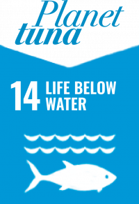 TROPICAL TUNAS AND THEIR STATE OF EXPLOITATION INFOGRAPHICS - Planet tuna