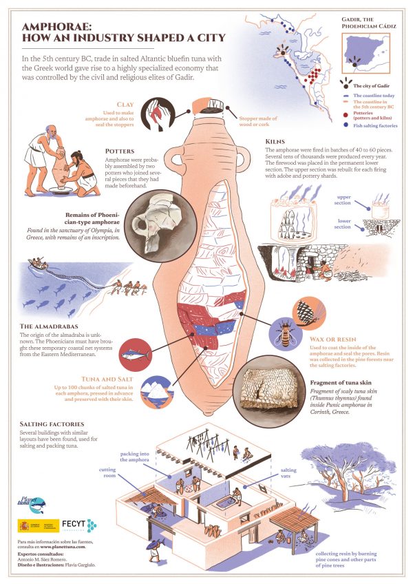 PHOENICIAN TUNA ANPHORAE INFOGRAPHICS - Planet tuna