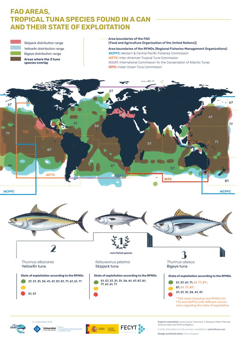 TROPICAL TUNAS AND THEIR STATE OF EXPLOITATION INFOGRAPHICS - Planet tuna