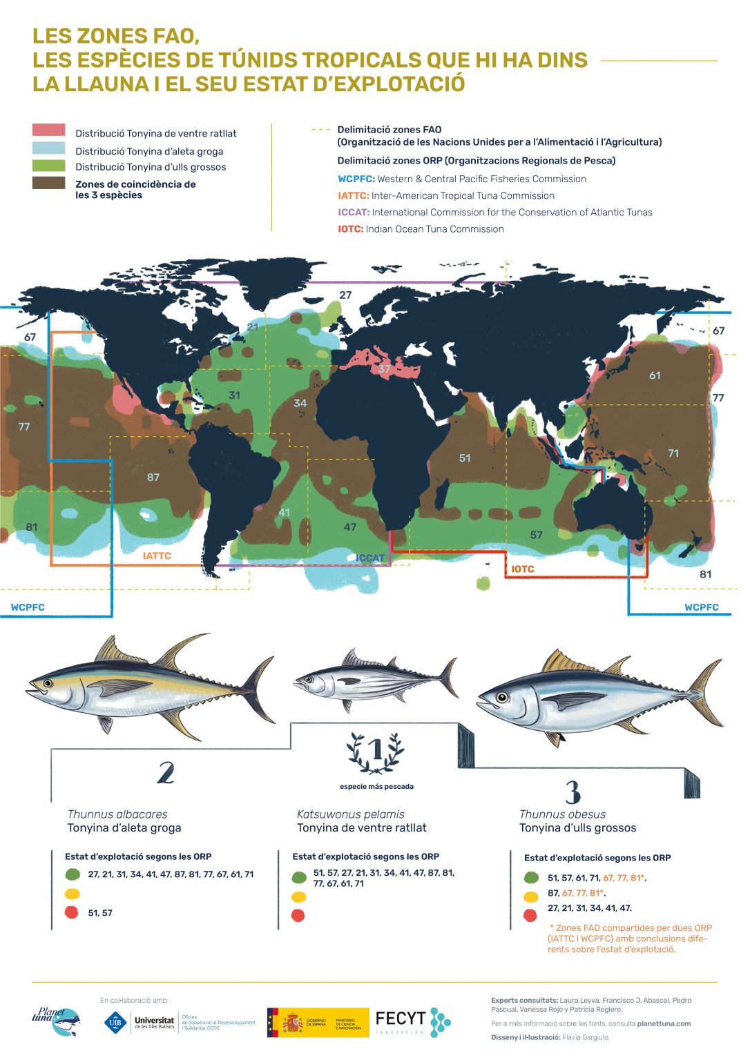 mapa-zones-fao-i-tunids-tropicals - Planet tuna