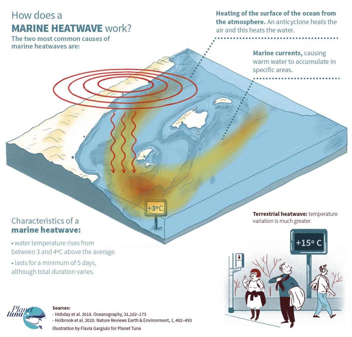 WHAT IS A MARINE HEATWAVE AND HOW DOES IT AFFECT LIFE IN OUR OCEANS ...