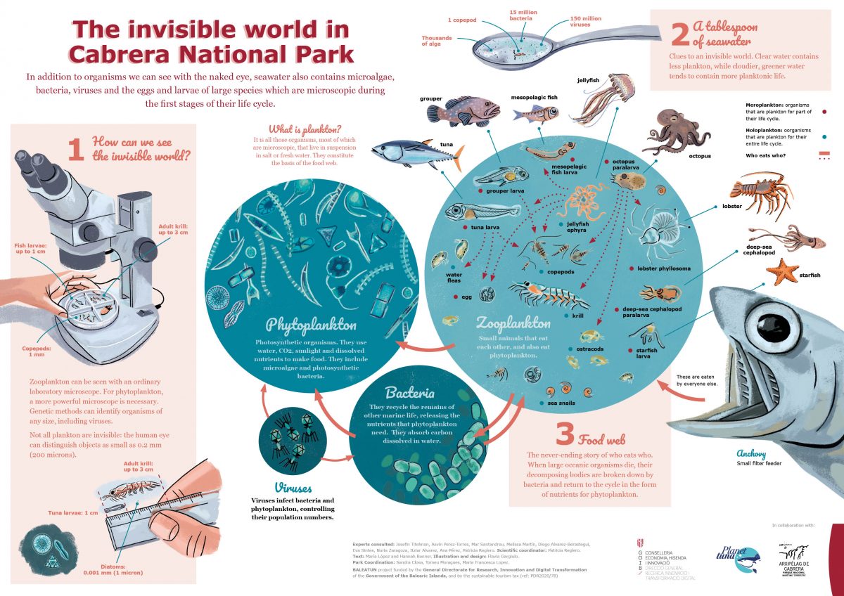 THE INVISIBLE WORLD IN CABRERA NATIONAL PARK INFOGRAPHICS - Planet tuna