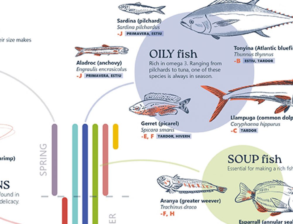 LARGE PELAGICS SPECIES IN CABRERA NATIONAL PARK INFOGRAPHICS - Planet tuna