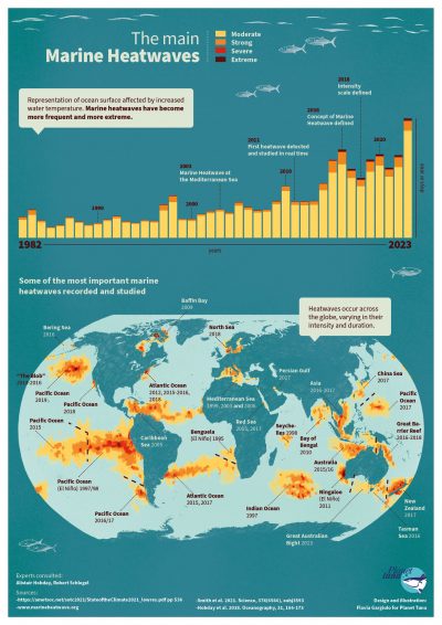 THE MAIN MARINE HEATWAVES INFOGRAPHICS - Planet tuna